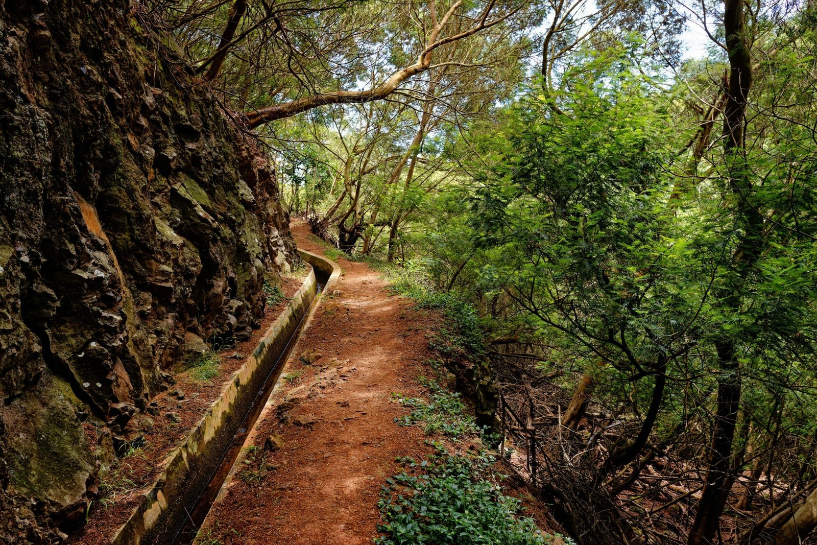 PR18 Levada do Rei | Königs-Levada Wanderung auf Madeira